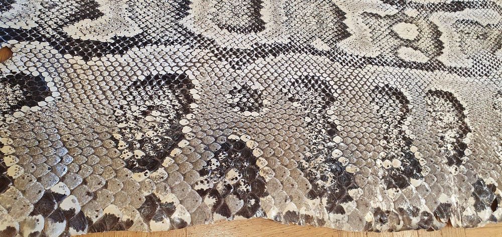 Schlangenhaut Ev Python 342cm Kaufen Auf Ricardo