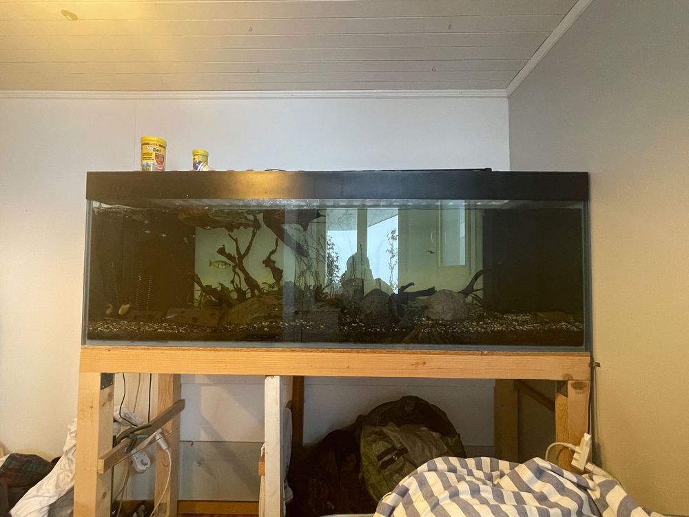 Aquarium 580l | Kaufen auf Ricardo