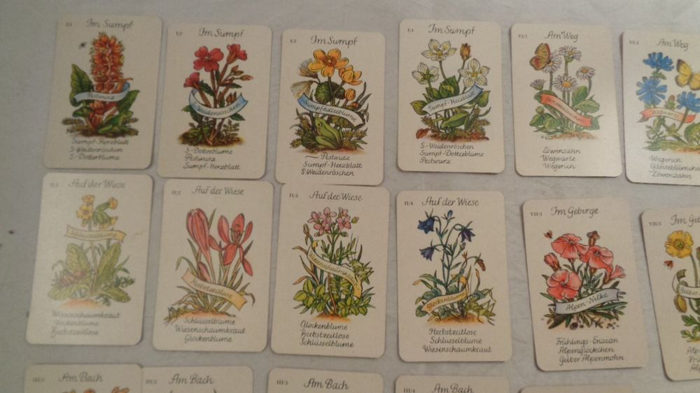 Blumen Quartett / 60er Jahre mit 36 Karten ab Fr. 8.- (Gebraucht) in Bellach für CHF 8 – mit ...