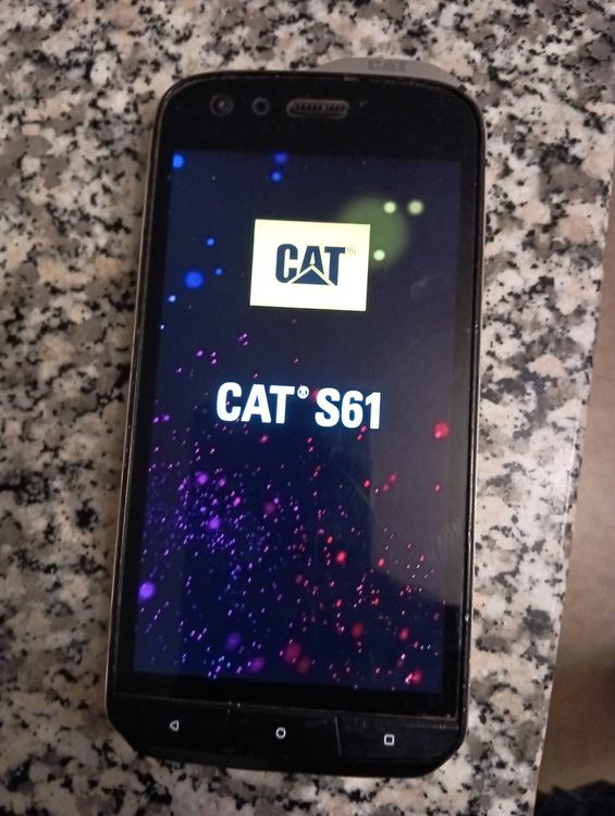 Cat s61 | Kaufen auf Ricardo