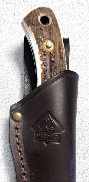 Puma Skinmaster Germany Jagdmesser Hirschhorn mi (Gebraucht) in Zürich ...