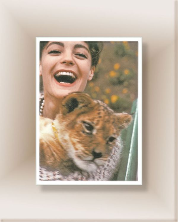 ROMY SCHNEIDER -- Foto Larry Shaw -- | Kaufen auf Ricardo