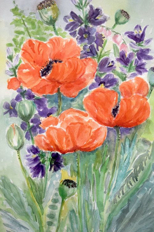 Stillleben Mohn sign WINISTÖRFER Martha Wasseramt Solothurn (Gebraucht ...