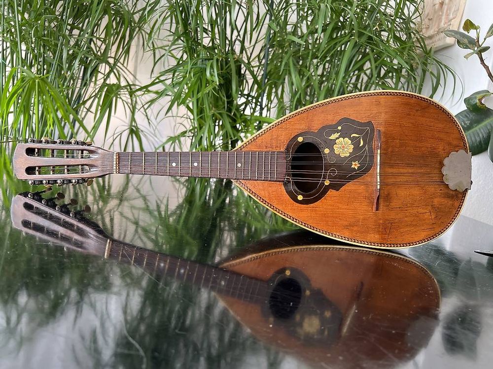 Mandolino napoletano (Gebraucht) in Lugano für CHF 99 – nur Abholung ...