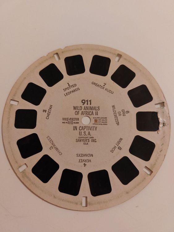 View Master Scheibe Wild Animals | Kaufen auf Ricardo