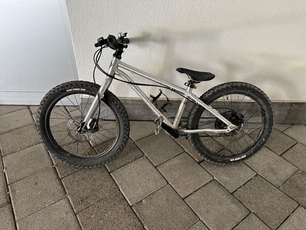 Early Rider 20zoll (Gebraucht) in Zürich für CHF 320 – nur Abholung auf ...