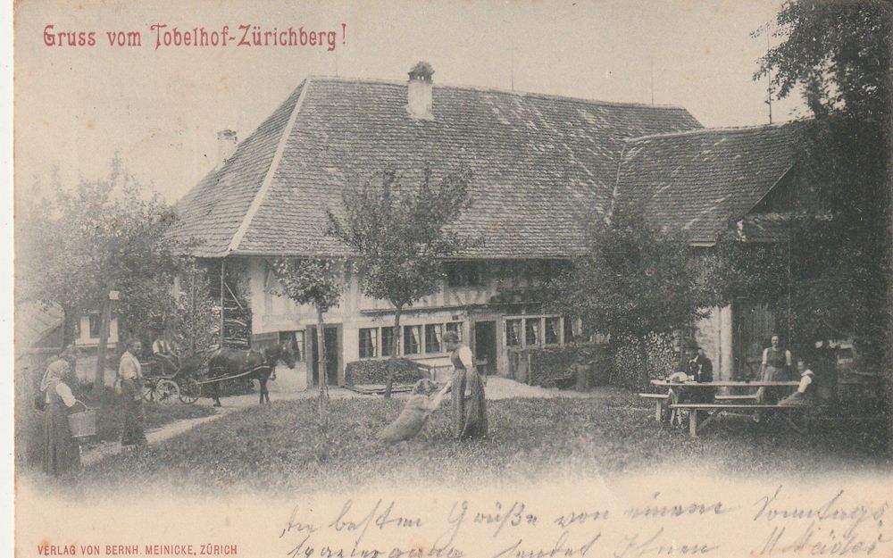 Zürichberg Tobelhof belebt (Gebraucht) in Rorschacherberg für CHF 34 – mit Lieferung auf Ricardo ...