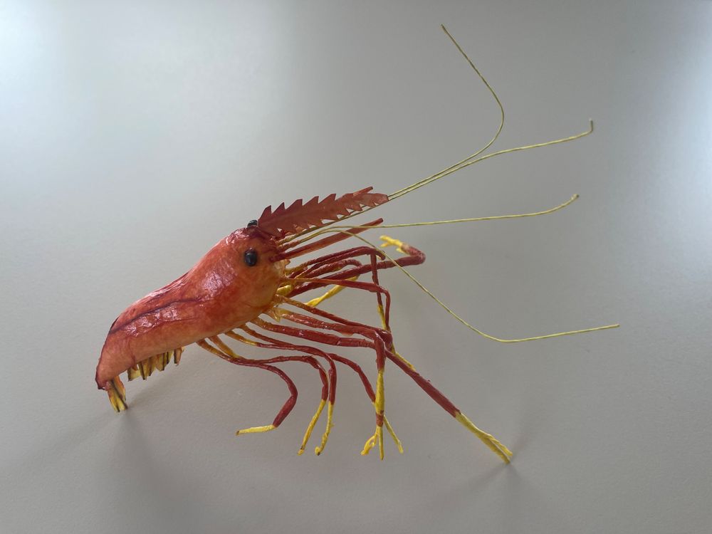 2 Shrimp Deko aus Papiermaché ca.20 cm lang (Gebraucht) in Zollikon für ...