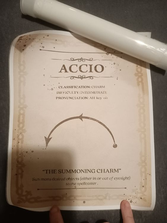 Poster Harry Potter "Accio" neuf (Neu (gemäss Beschreibung)) in ...