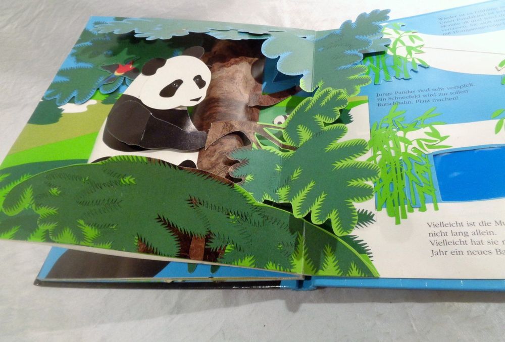 Pop-Up Buch / Die Pandas / Panda / Mit beweglichen Bildern (Gebraucht ...