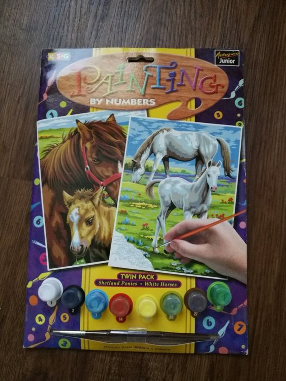 Malen nach Zahlen | Kaufen auf Ricardo