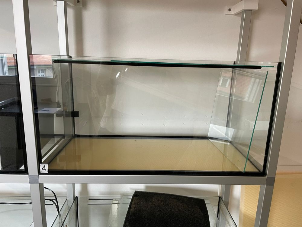 NEU! Aquarium (54 Liter) 30x30x60cm mit Temperatursensor (Gebraucht) in Messen für CHF 1 – nur ...