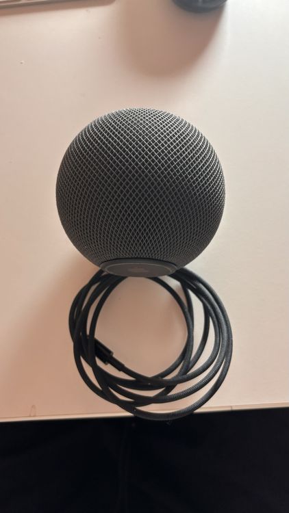 APPLE home pod mini (Neu (gemäss Beschreibung)) in Niederglatt ZH für ...