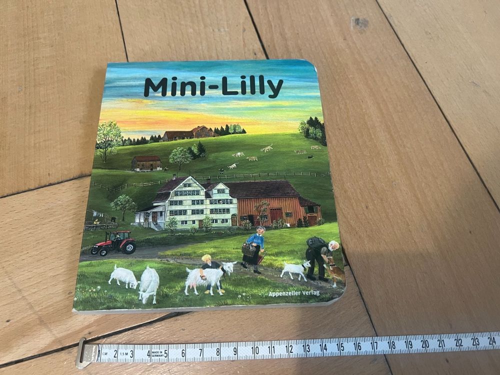 Mini-Lilly Buch von Lilly Langenegger ab 12 Mo 👶 (Gebraucht) in für CHF ...