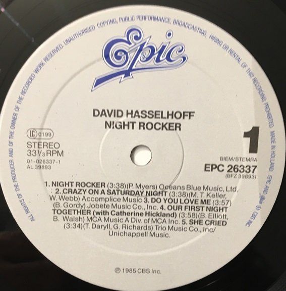 David Hasselhoff – Night Rocker (LP) (Gebraucht) in Grüningen für CHF 5 ...