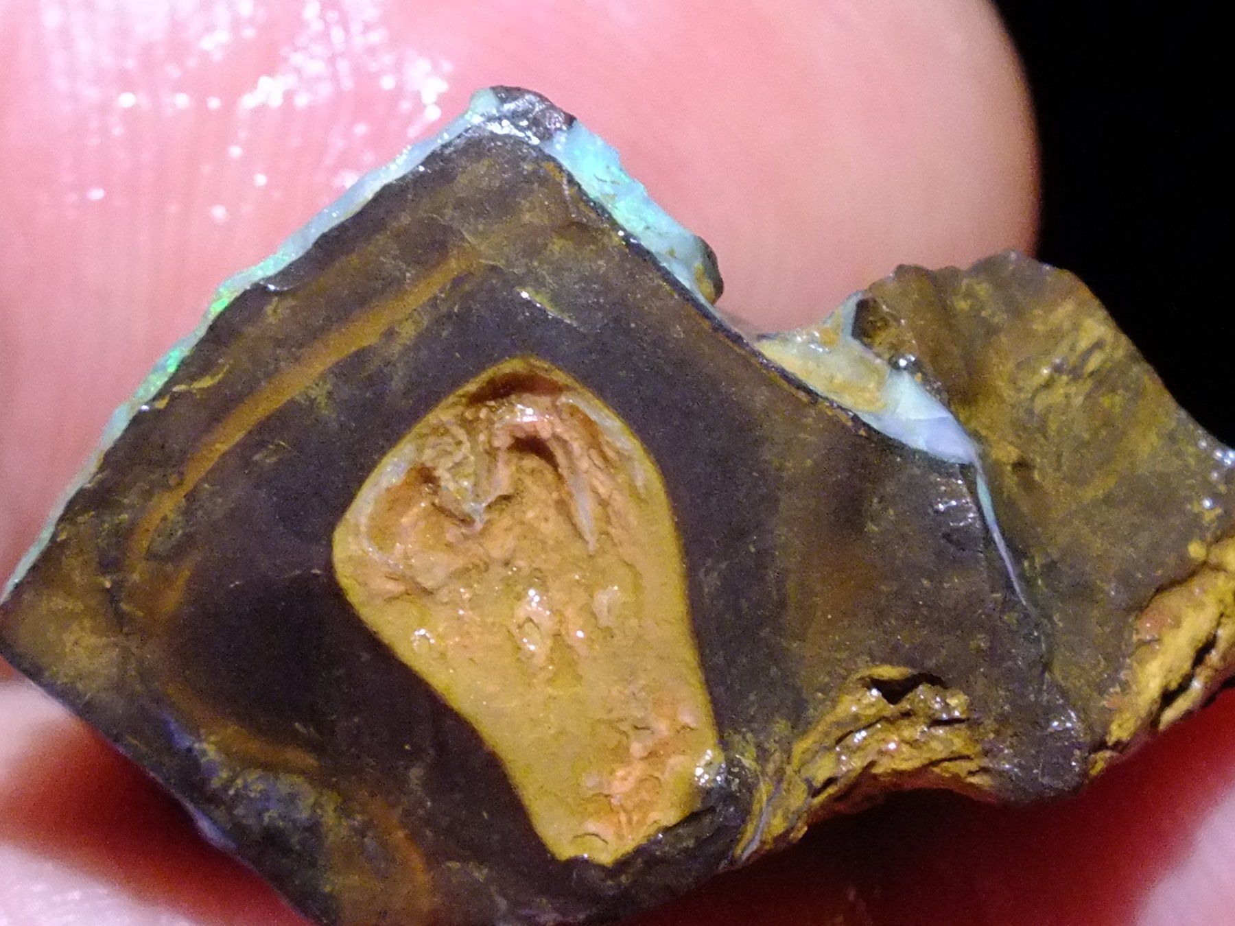 BOULDER ROH OPAL 36 Karat Gebot 1.- Elektrisch Grün feuer (Neu und ...