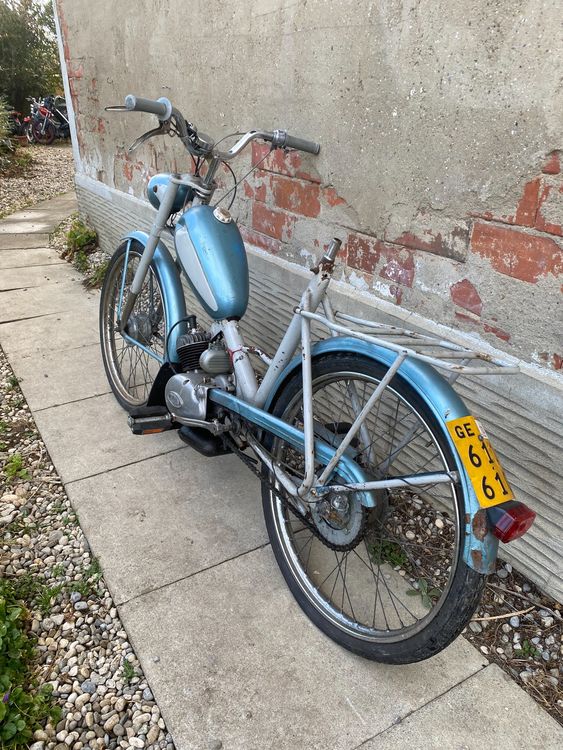 Cilo Vampire | Kaufen auf Ricardo