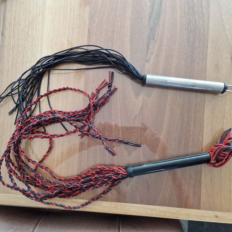 Peitschen (2 Stück) (Gebraucht) in für CHF 25 – mit Lieferung auf ...