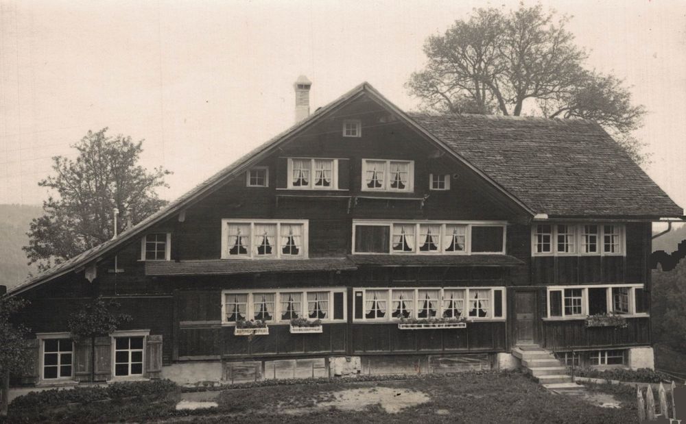 Bauernhaus (evtl. Walzenhausen) (Gebraucht) in Bronschhofen für CHF 10 – mit Lieferung auf ...