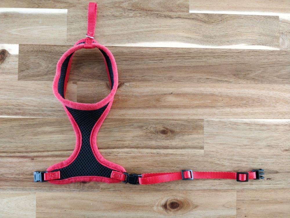 Red cat harness | Kaufen auf Ricardo