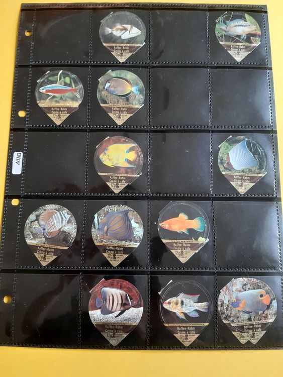 KRD aus Serie 10 Zierfische Riegelformat | Kaufen auf Ricardo