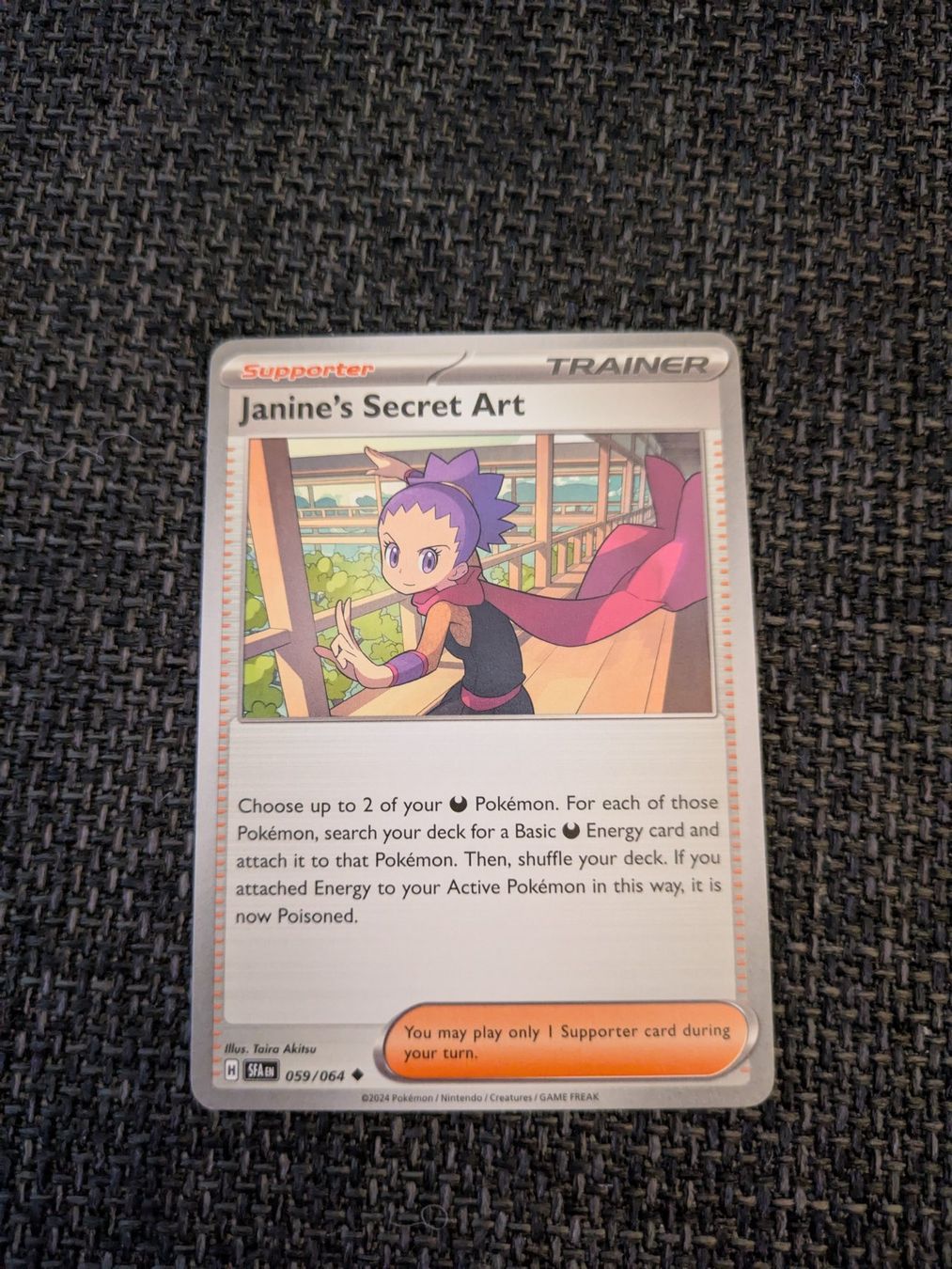 JANINE'S SECRET ART, SHROUDED FABLE, UNC, 2024, ENG, NM/MT (Gebraucht ...