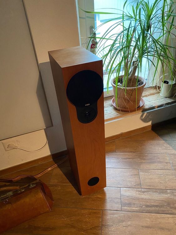Rega RX 3 Standlautsprecher in Walnut | Kaufen auf Ricardo