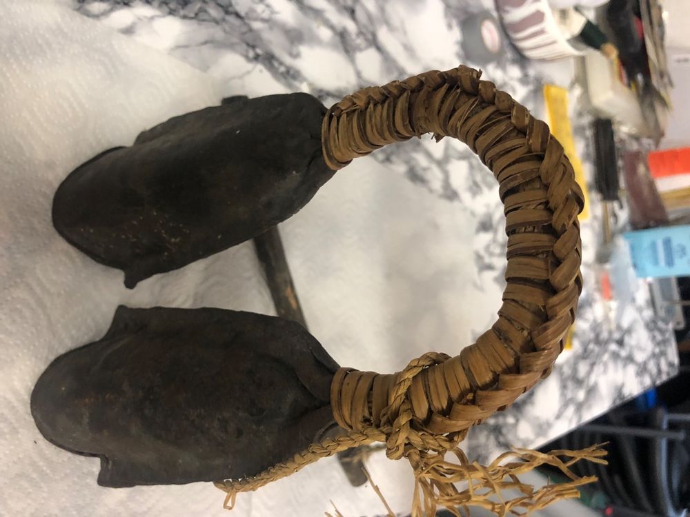 appenzeller instrument alt (Gebraucht) in BERNECK für CHF 20 – mit ...