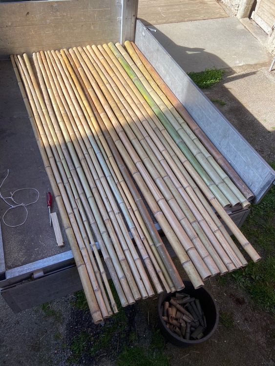 Faszinierend Bambusstangen Kaufen 3m Ebenbild