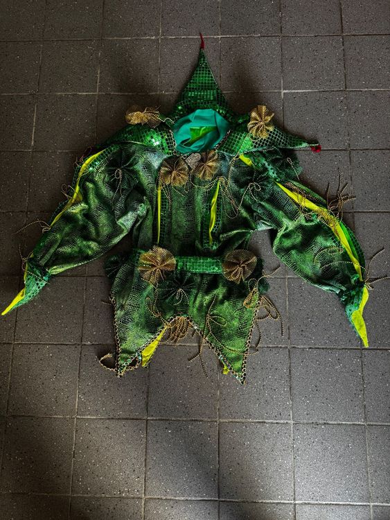 Fasnachtskostüm Motto Wald Efeu (Gebraucht) in Oberbuchsiten für CHF 1 ...