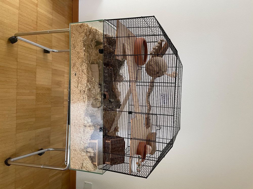 Hamster-, Mäusekäfig (Gebraucht) in für CHF 43 – nur Abholung auf ...