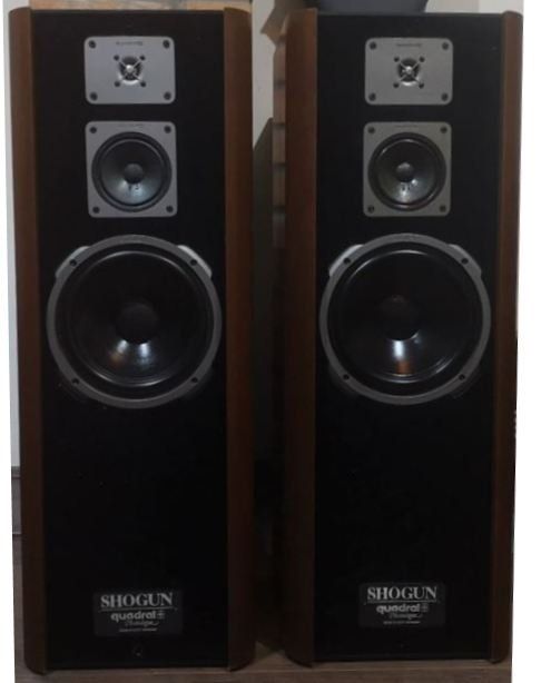 Quadral - Enceintes colonnes Shogun MK IV (Gebraucht) in Biel/Bienne ...