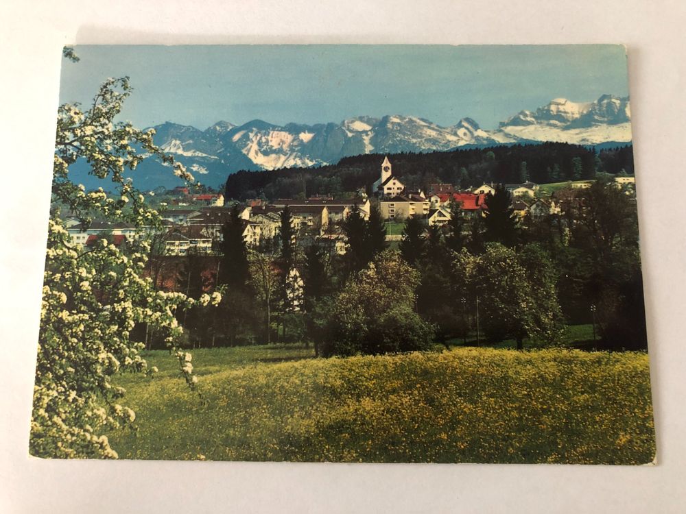 Oetwil am See mit den Alpen | Kaufen auf Ricardo