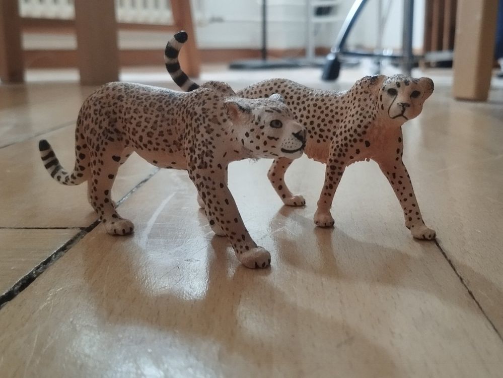 Schleich Gepard & Leopard (Gebraucht) in Zürich für CHF 7 – mit ...
