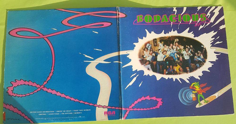 Bodacious DF Bodacious DF (Gebraucht) in Boussens für CHF 22 – mit ...