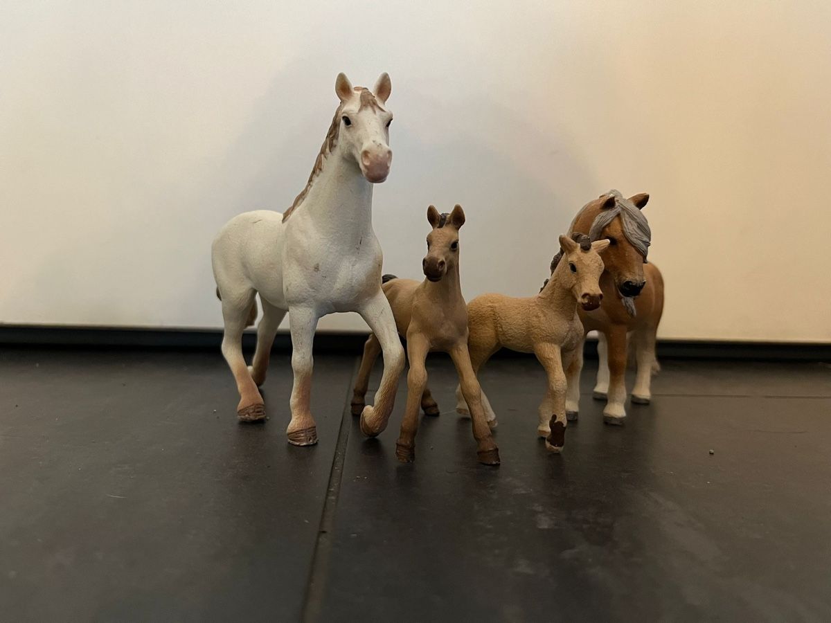 Pferde mit Fohlen (Gebraucht) in Aarburg für CHF 7 – nur Abholung auf ...