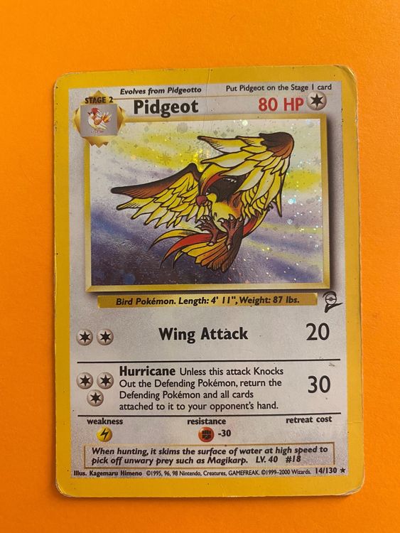 Pidgeot - 14/130 - Base Set 2 - HOLO - EN (Gebraucht) in Bonstetten für ...