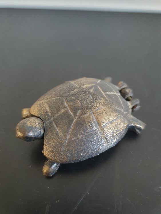 Schildkröte (Gebraucht) in Wauwil für CHF 1 – mit Lieferung auf Ricardo kaufen