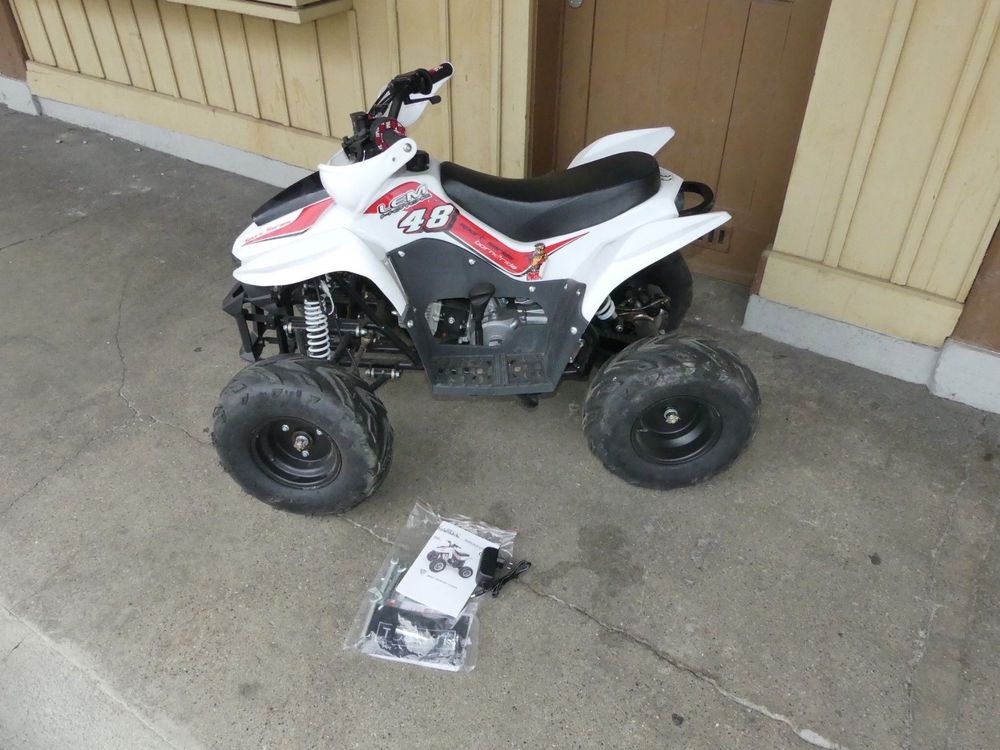 LEM Motor ATV 4 Takt 110 cc Quad (Gebraucht) in für CHF 471 – nur ...