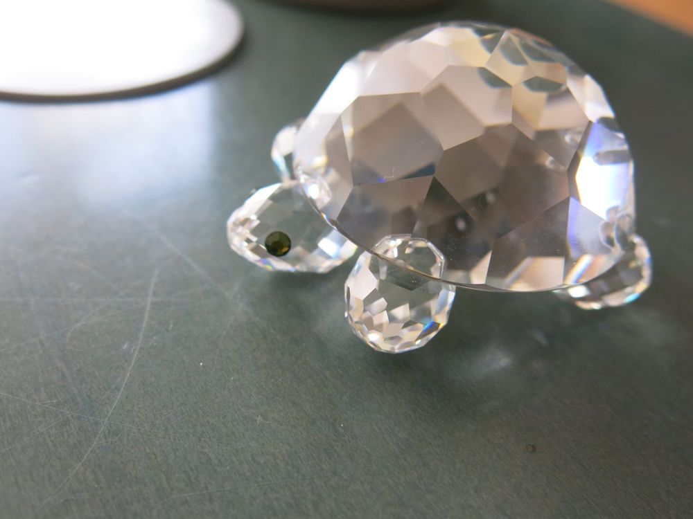 Swarovski Schildkröte Klar (Gebraucht) in Zürich für CHF 45 – mit Lieferung auf Ricardo kaufen