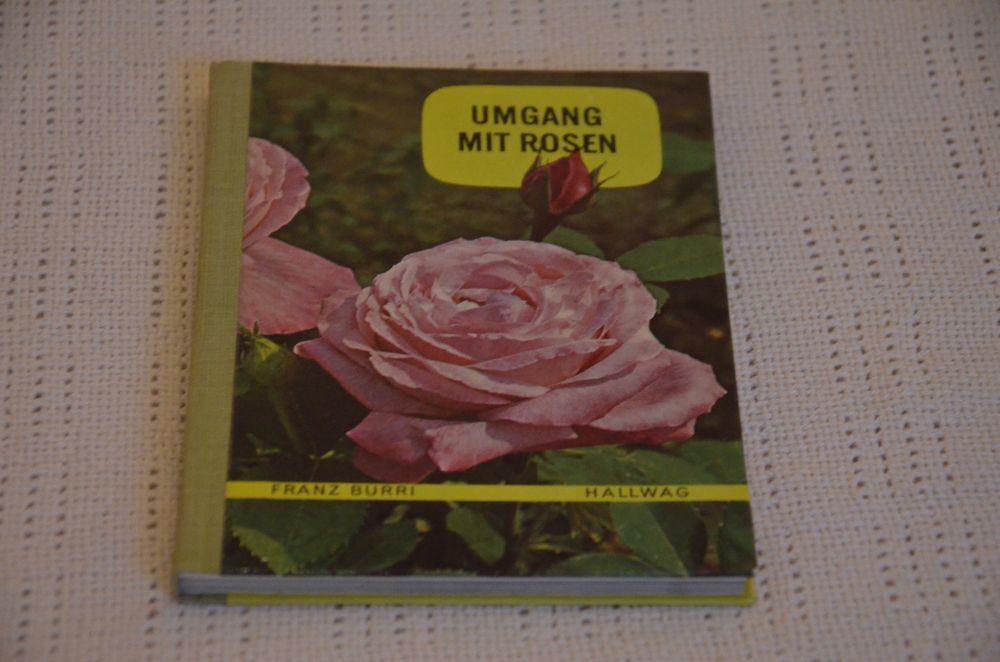 MINI BUCH ROSE (Gebraucht) in Chiasso für CHF 1 – mit Lieferung auf ...