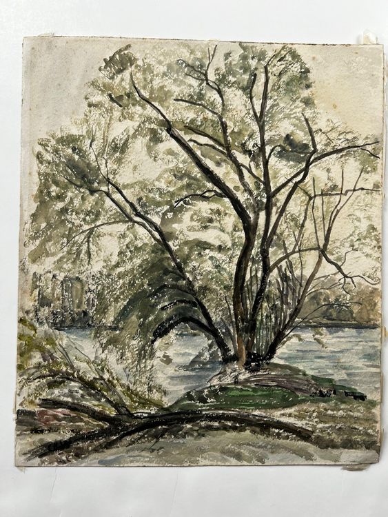 Sehr Alte Baumszene Aquarell Signiert. | Kaufen auf Ricardo