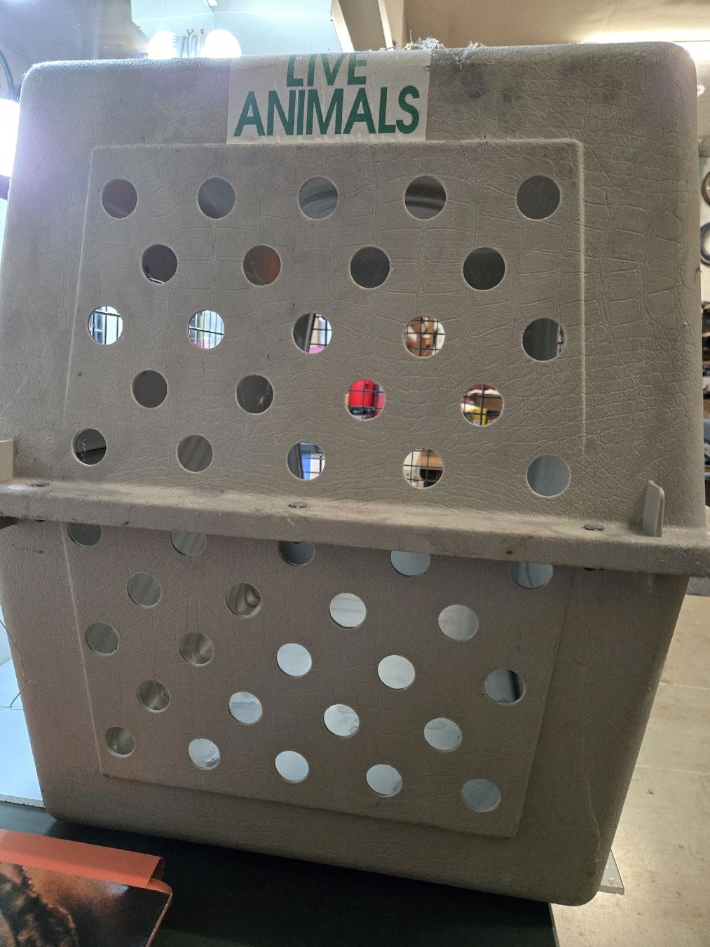 Cage de transport Skykennel pour animaux, solide. (D'occasion) à Le ...