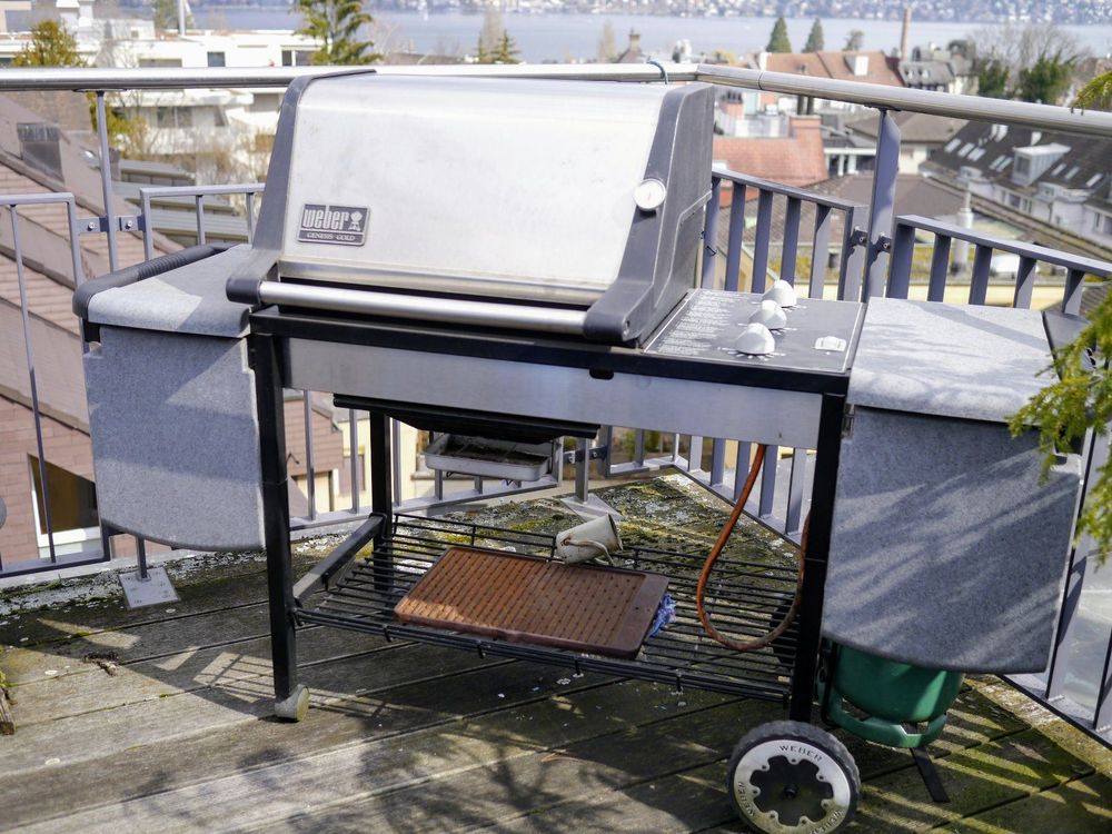 Gasgrill Weber Genesis Gold (Gebraucht) in Zürich für CHF 30 – nur ...