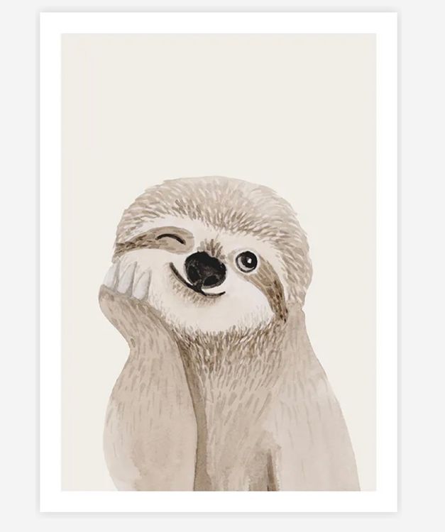 Poster Faultier | Kaufen auf Ricardo