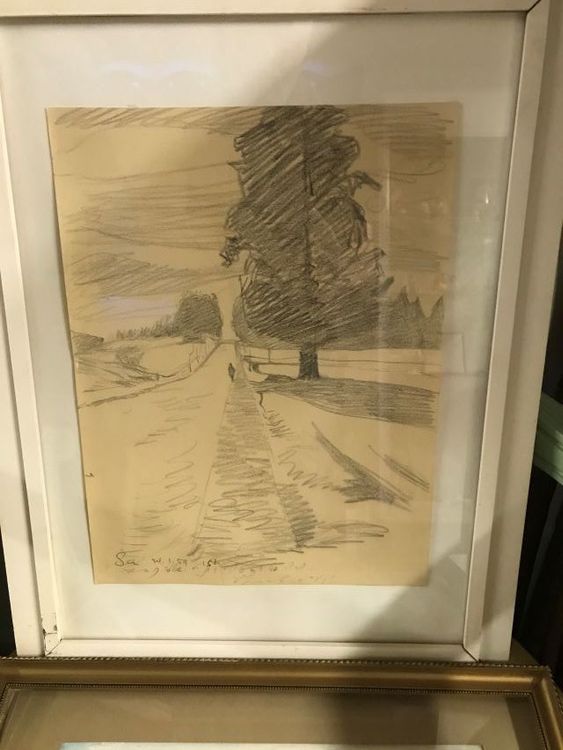 Ott Adolf, Bleistiftzeichn., Wettertanne Basadingen-Dickihof (Gebraucht ...