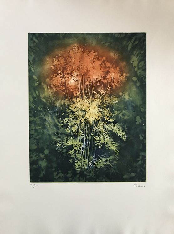 France Hilon "Alicante" FARBRADIERUNG auf Bütten (Gebraucht) in ...