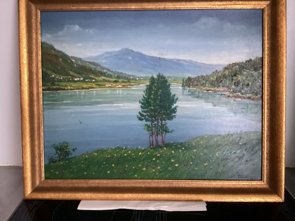 Wunderschöne Gemälde | Kaufen auf Ricardo