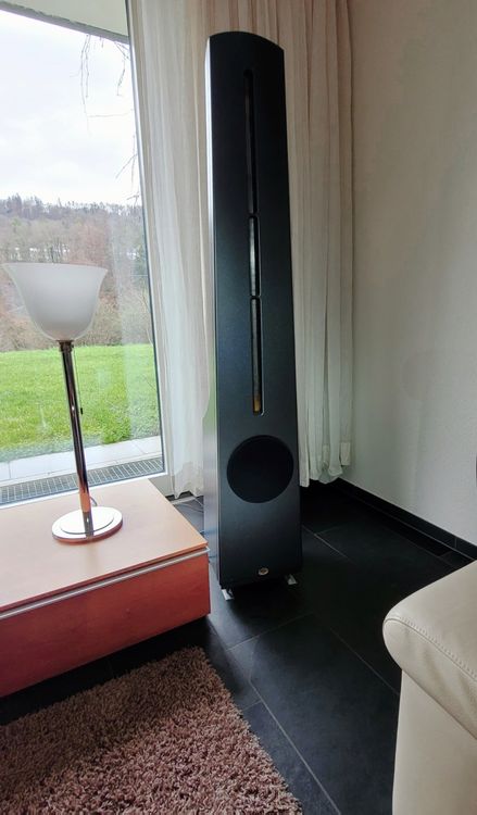 High end Lautsprecher Relco Mantis mit Bändchenhochtöner (Gebraucht) in ...