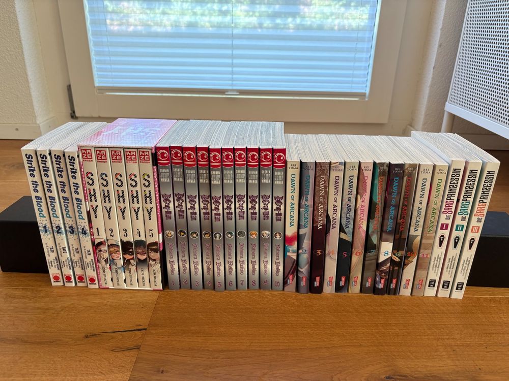 Manga Fantasy-Set (Gebraucht) in Zofingen für CHF 40 – mit Lieferung ...